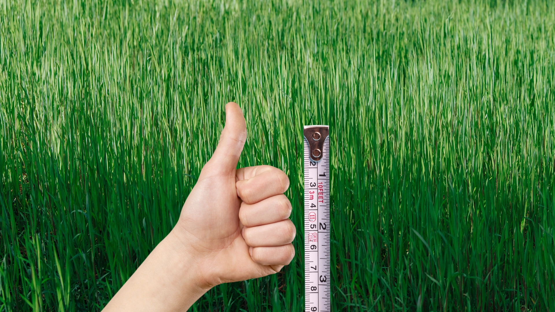 6 Reasons to Mow High: Get the Perfect Lawn [List] - Hint, Mow Higher