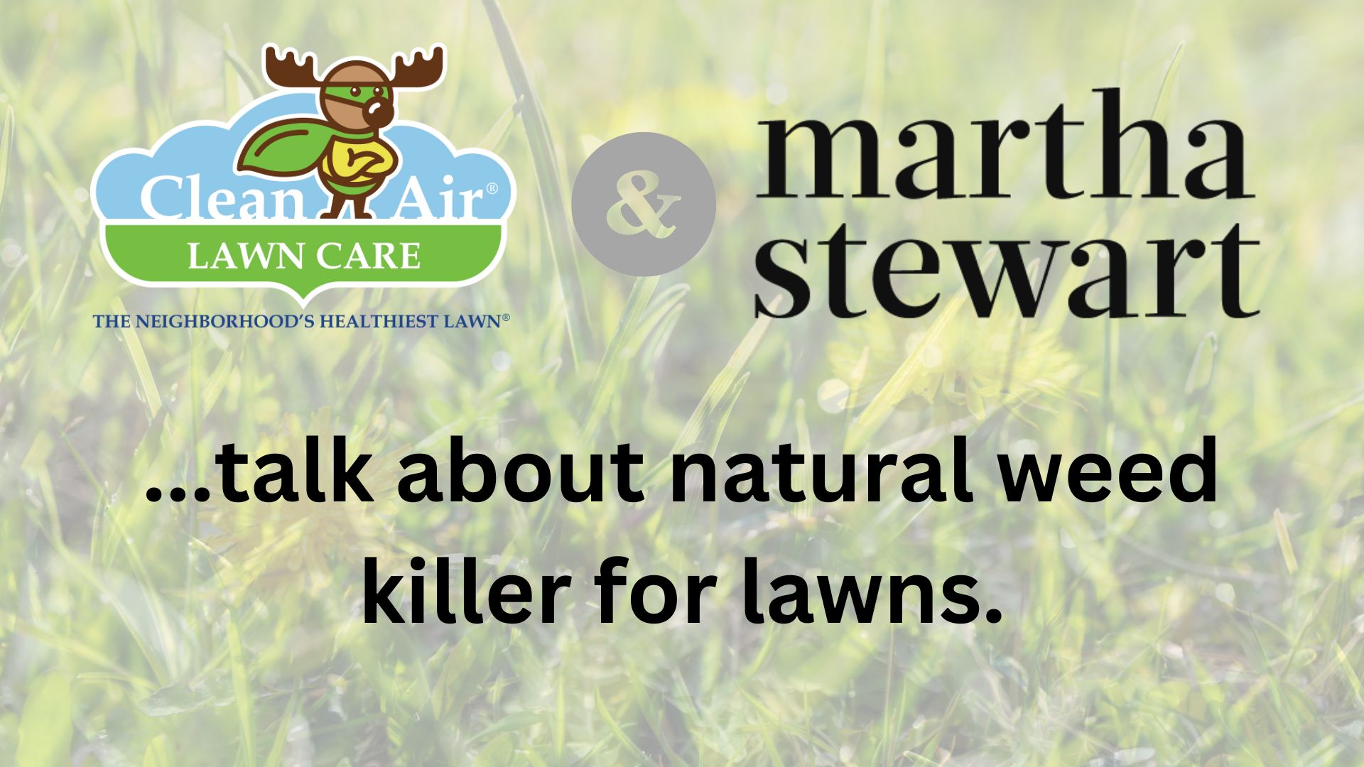 Natural Weed Killer For Lawns [Hint: not vinegar]